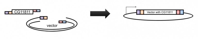 Microbe Machine – Bytes of the Apple