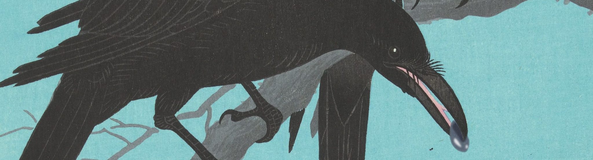 Take the LibLob Survey – What's New at the Library