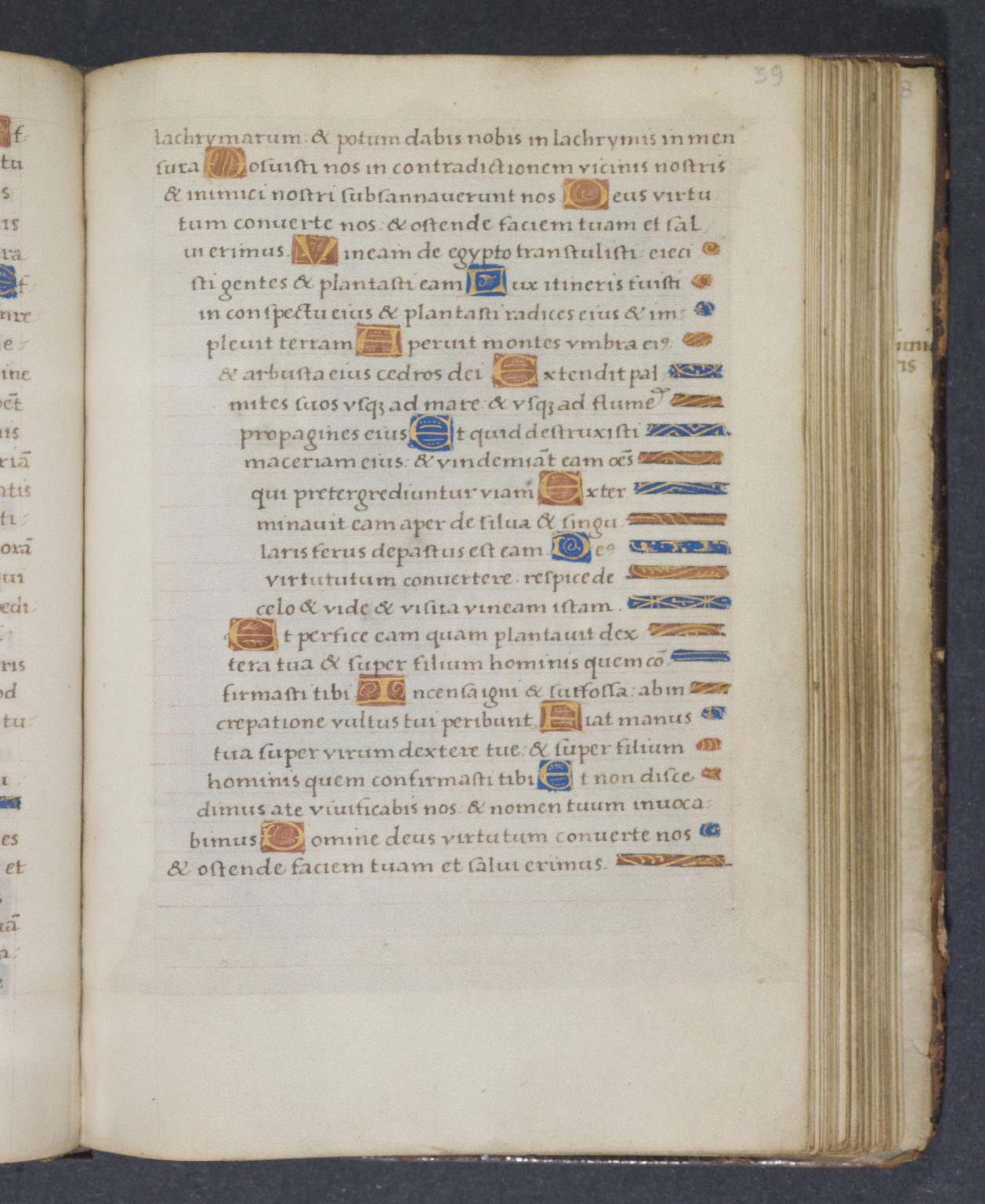 Humanist manuscripts – The Reed College Scriptorium