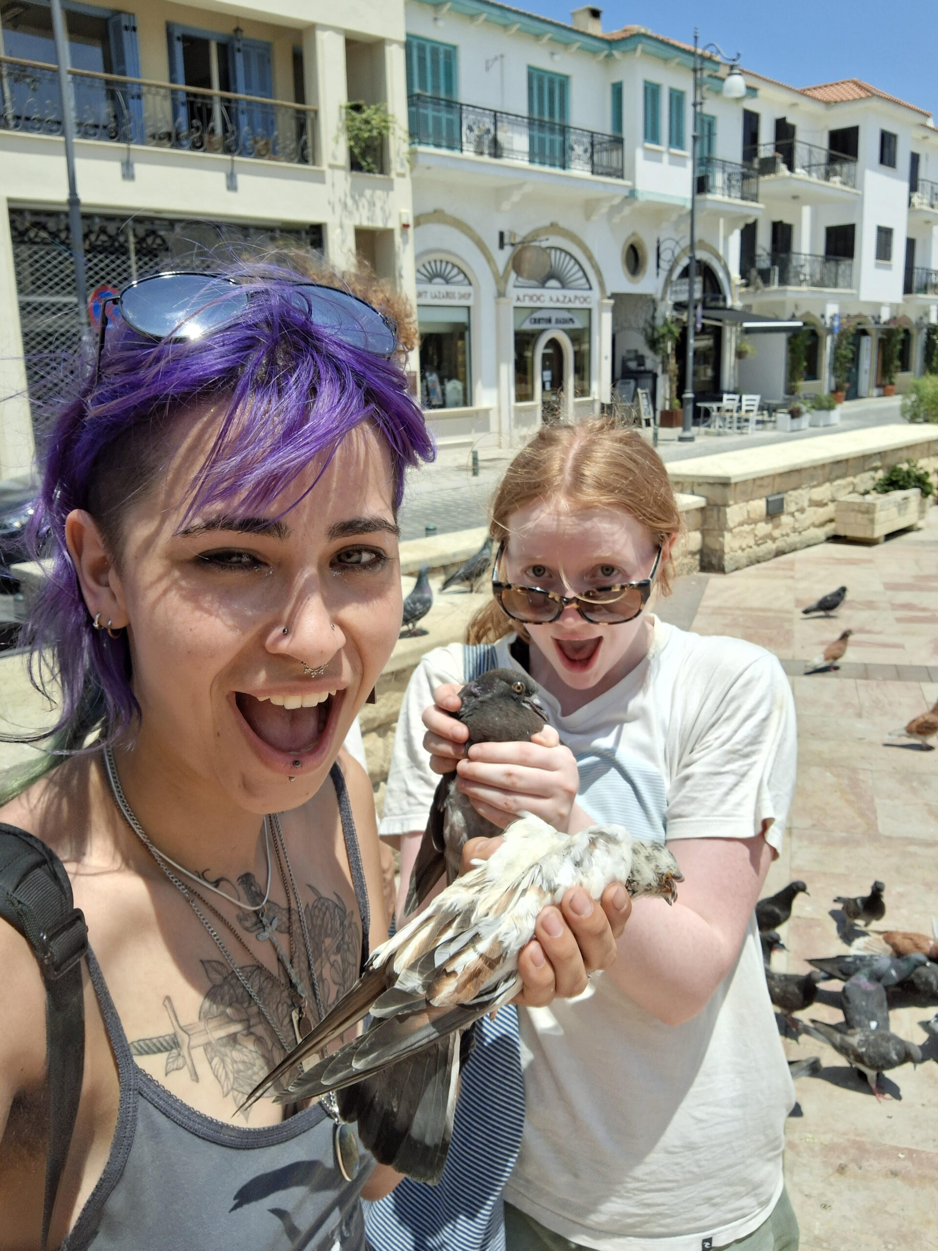 To Catch a Pigeon – The Vigla Archaeological Field School